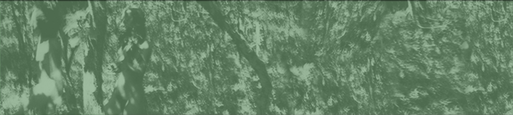 mainheader – Dryad Press